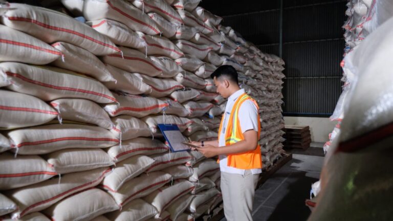 Pemerintah Siapkan Rp5 Triliun Bangun 100 Gudang Bulog untuk Perkuat ...